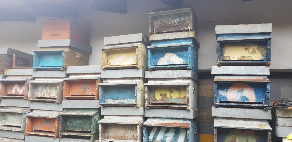 VENDO MELARI CON TELAINI - ARNIE USATE - BILANCIA: giardino e fai da te ...