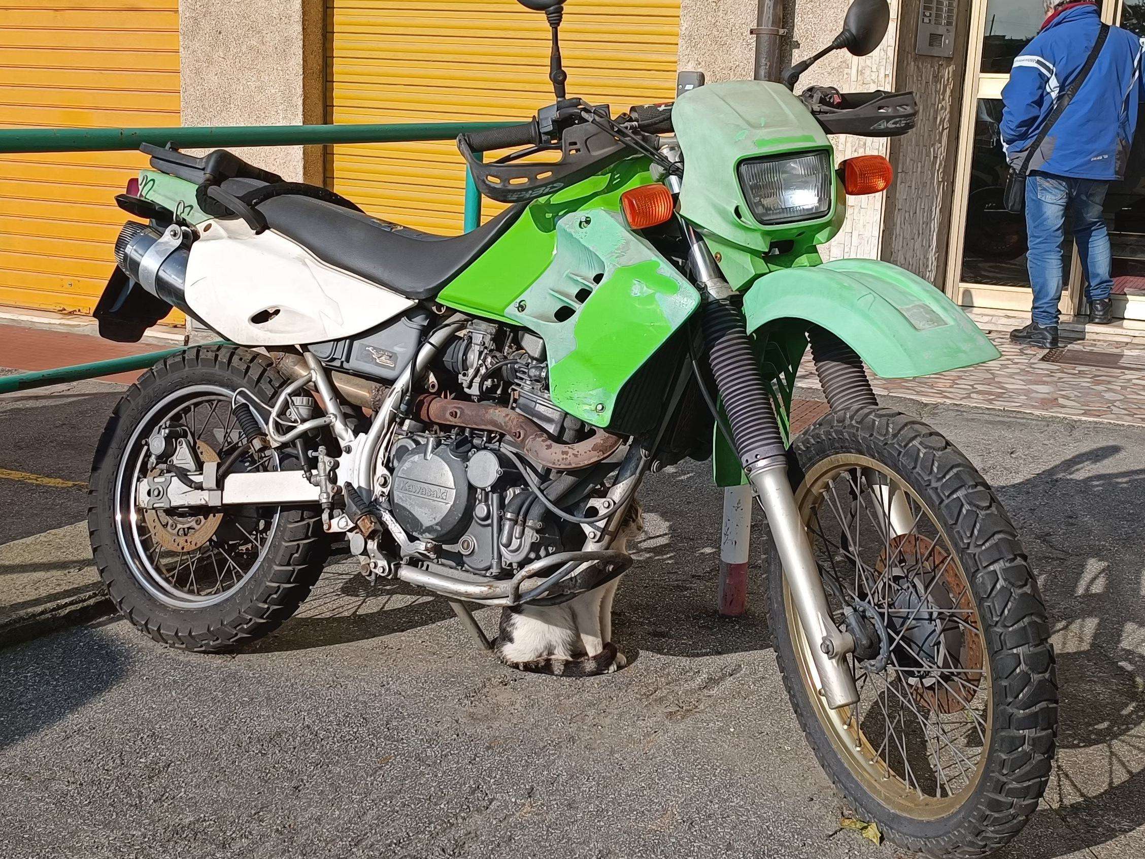 Kawasaki-klr-650-2004 in vendita in Motori in Tutta Italia