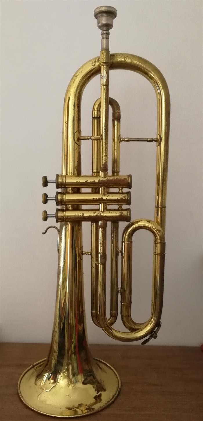 Flicorno-contralto-in-mib-89658101 in vendita a Roma